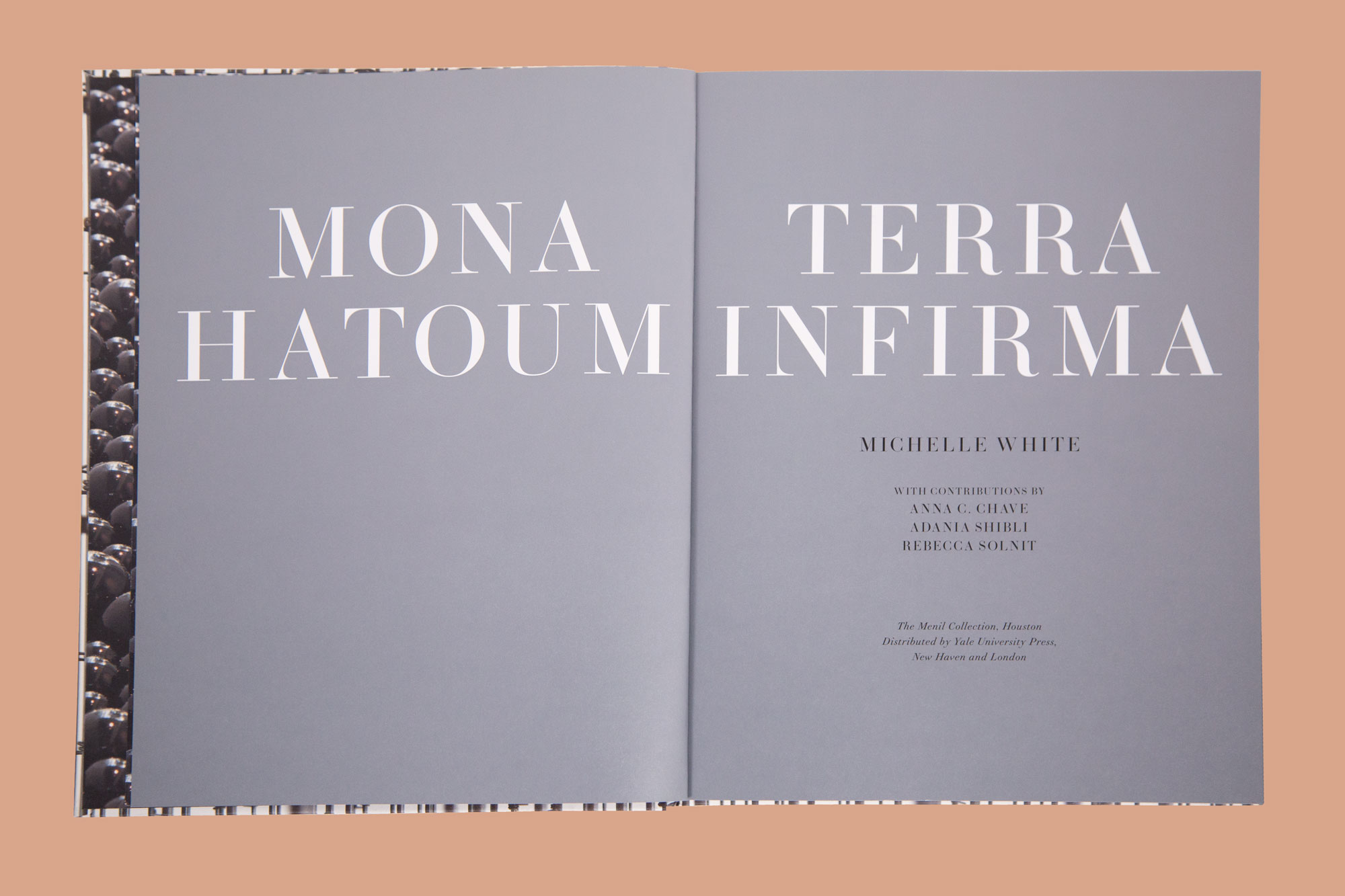 Mona Hatoum: Terra Infirma | Counterspace