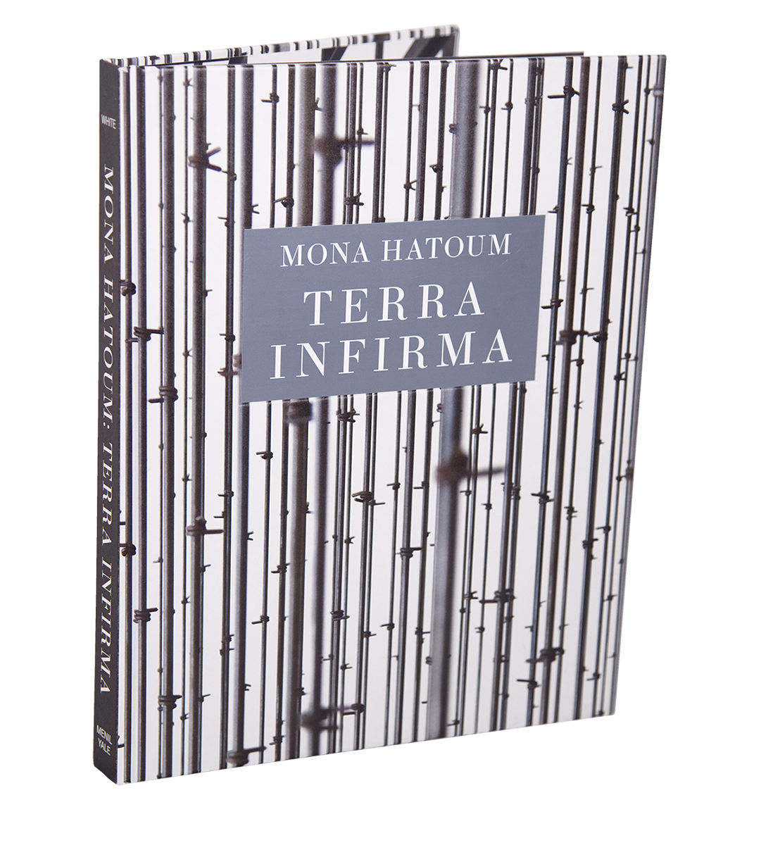 Mona Hatoum: Terra Infirma | Counterspace